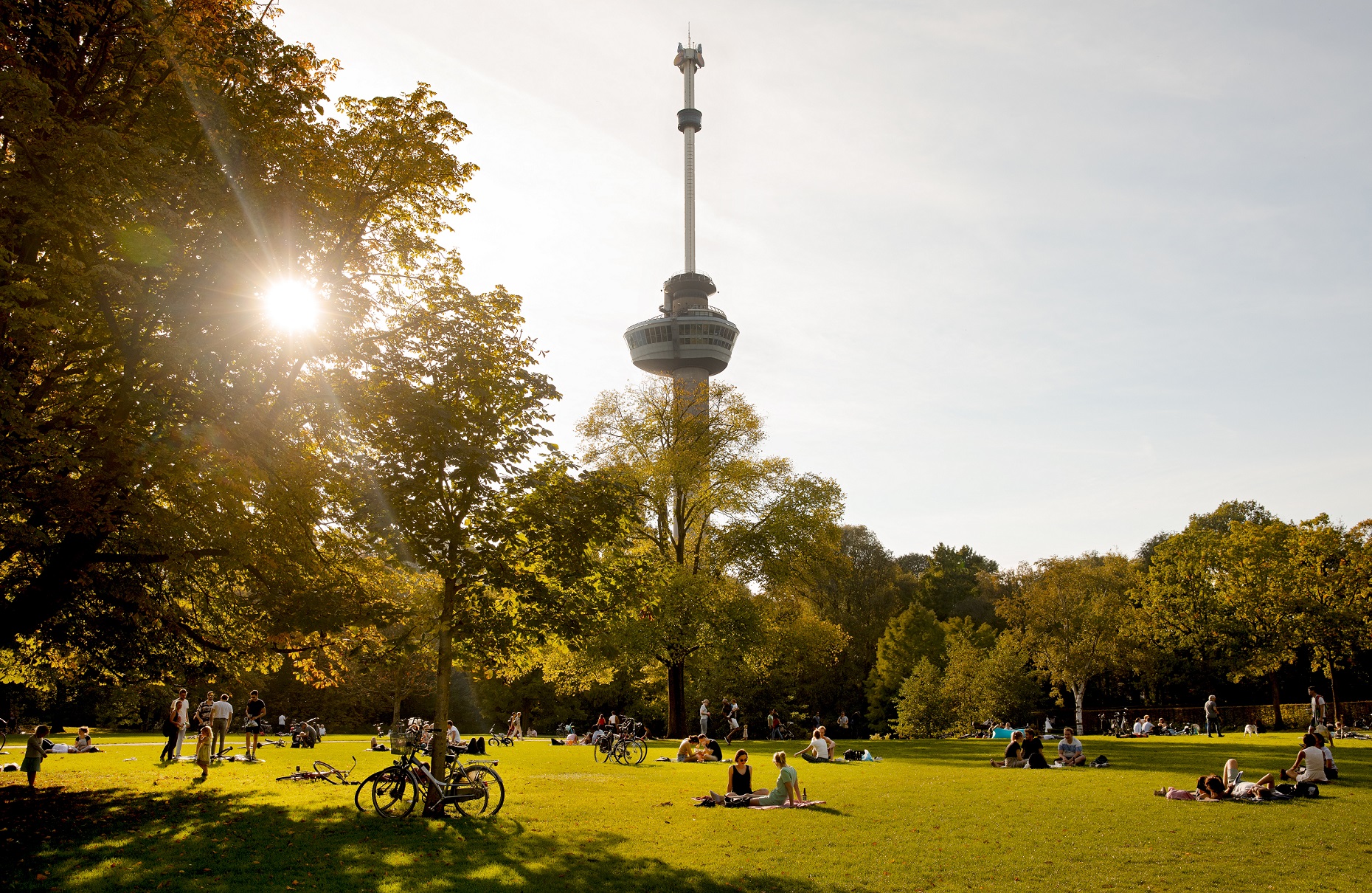 Home | Rotterdam Info