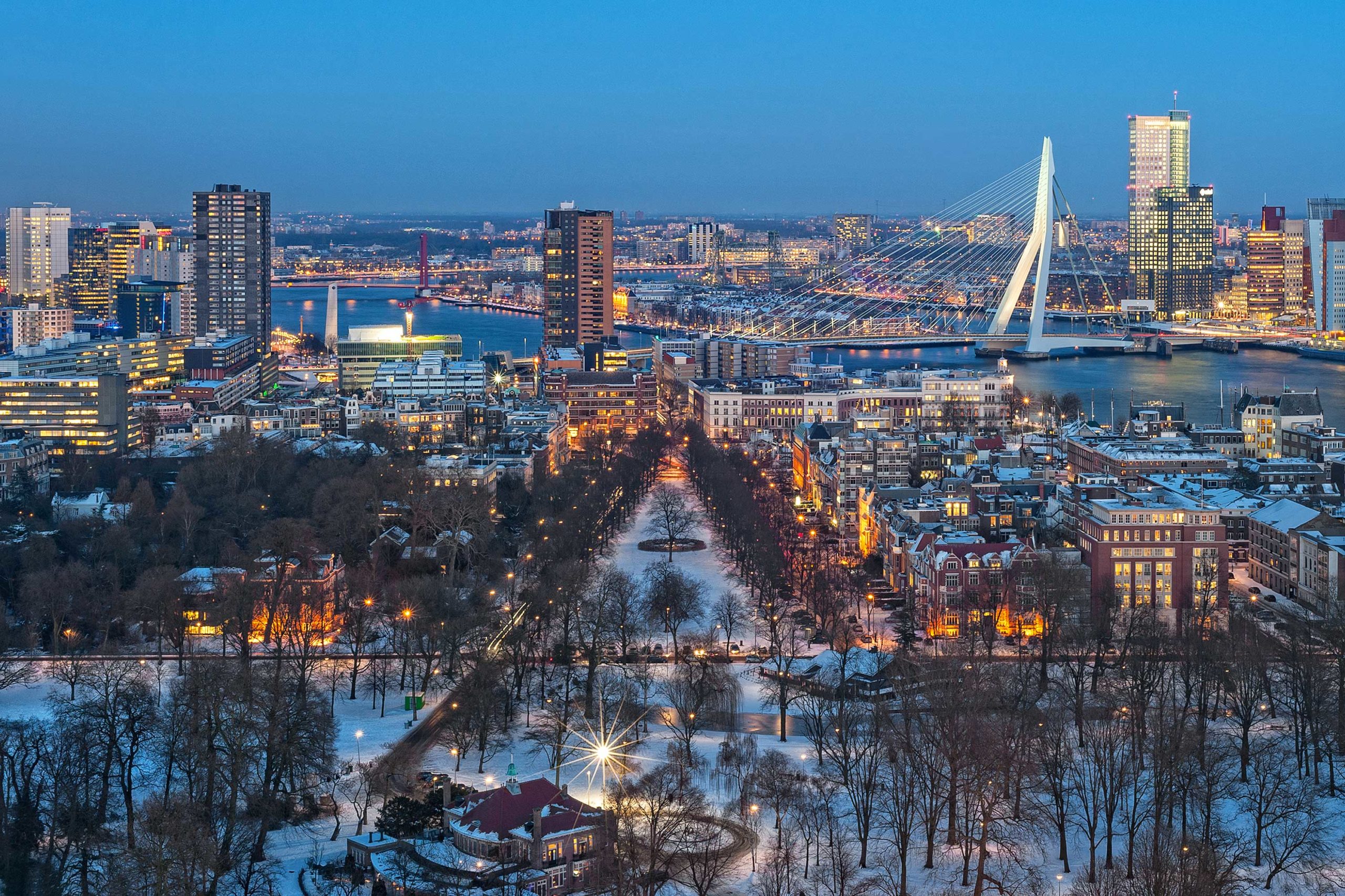 Home | Rotterdam Info