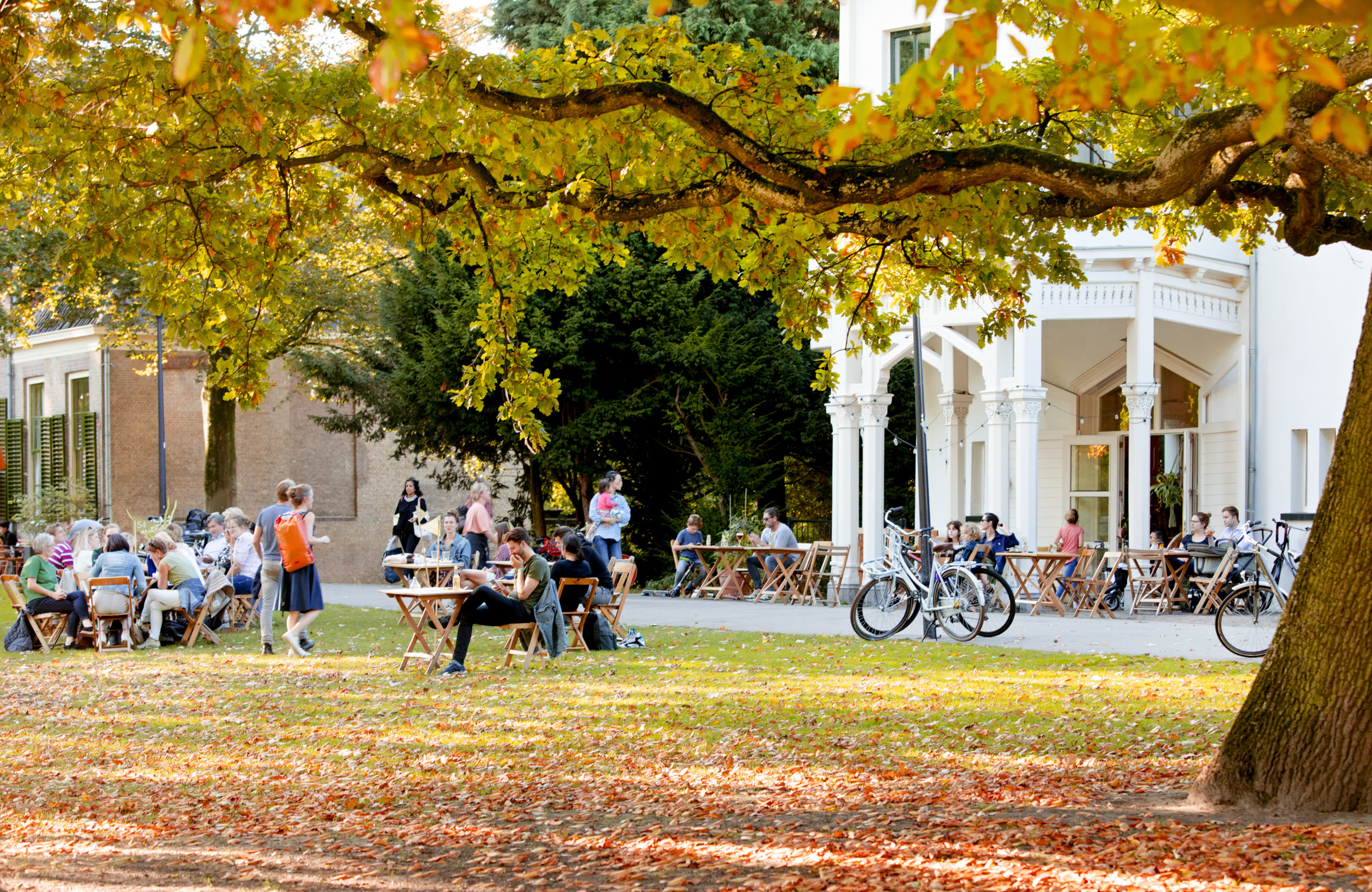 Home | Rotterdam Info